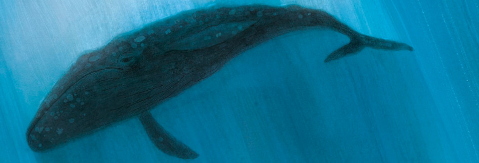 Living on Earth: Public Radio's Environmental News Magazine